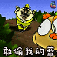 小狐狸338450161 
