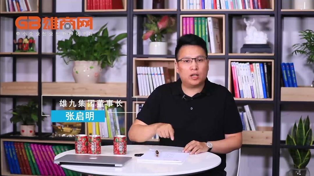 雄九集团张启明谈“股权架构顶层设计-2”