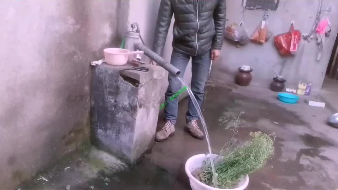 中国传统习俗,三月三荠菜煮鸡蛋的做法