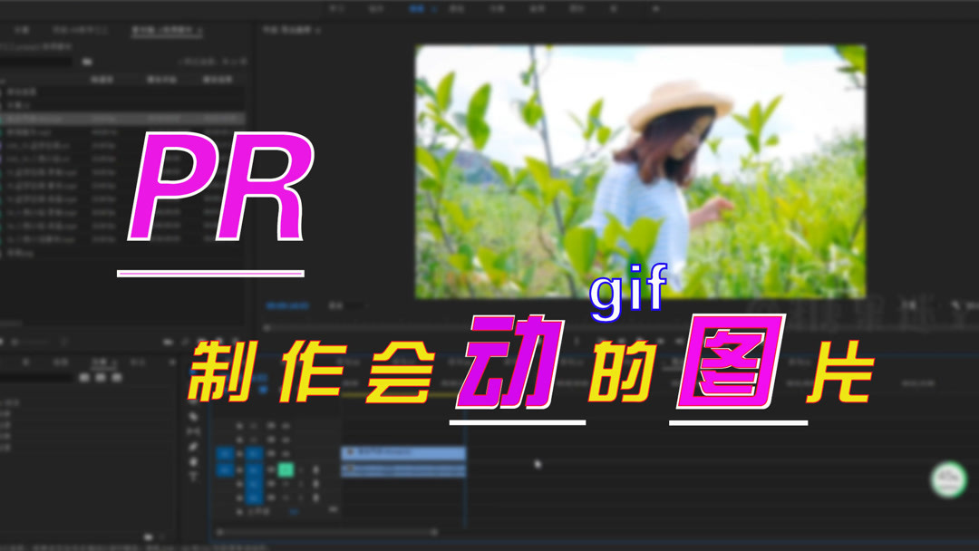 PR制作动态图片 这招要学会