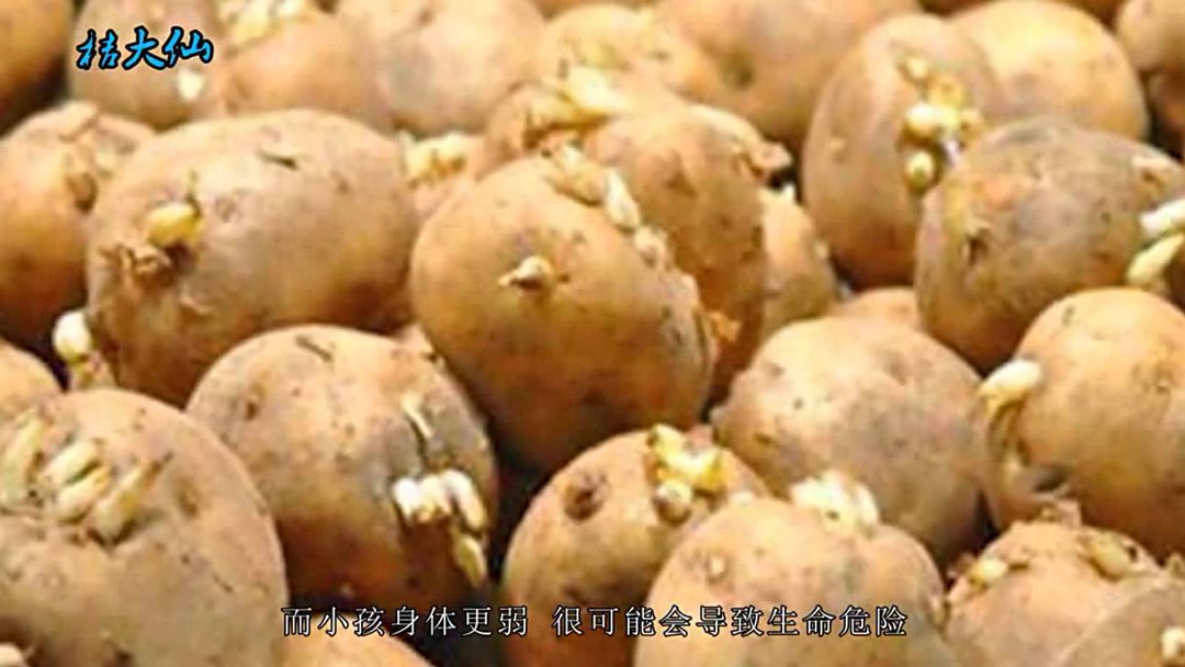 3岁宝宝吃了土豆后,不一会口吐白沫离世,家长们不要给孩子吃了