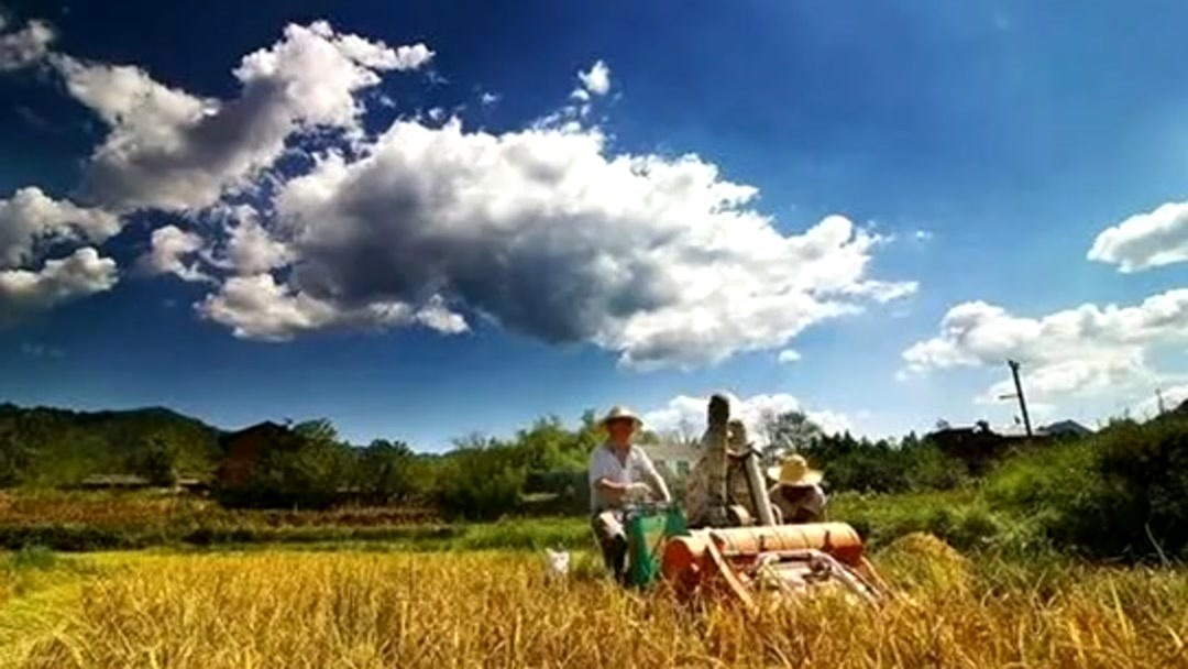 2021年智慧树文献检索期末答案