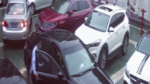 女司机停车错将空挡挂倒挡 民警一番闪电操作将车稳住