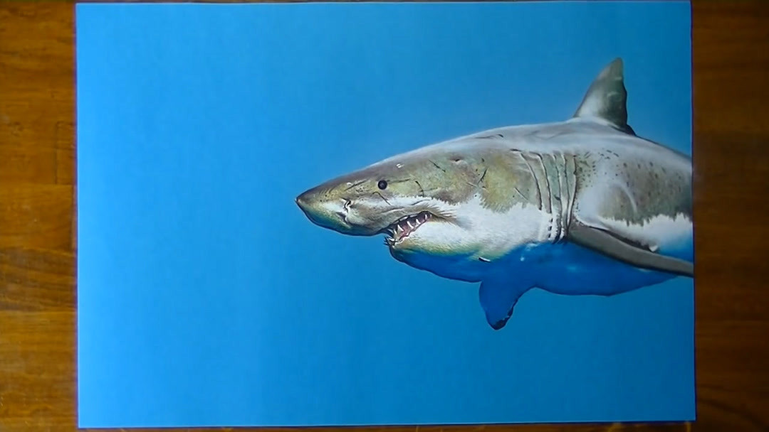 教你绘画有点恐怖的鲨鱼