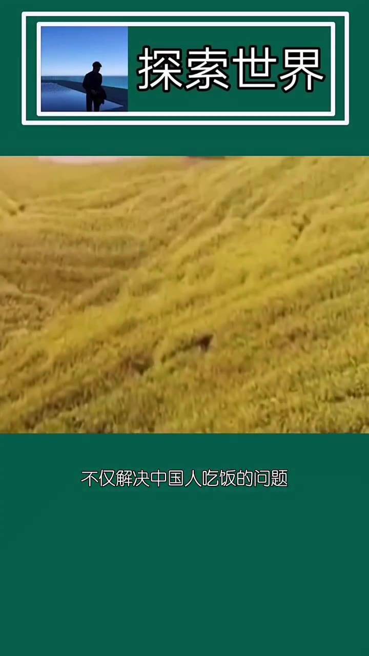 中国杂交水稻在世界属于什么水平