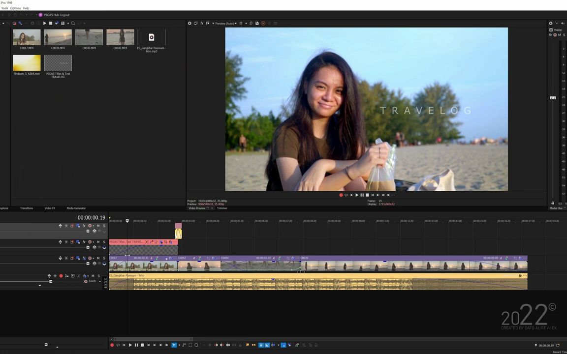 【Vegas 小窍门】如何使用DaVinci Resolve 17进行编辑-初学者教程...