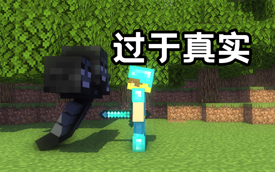 我的世界中过于真实的几个瞬间(二十九)