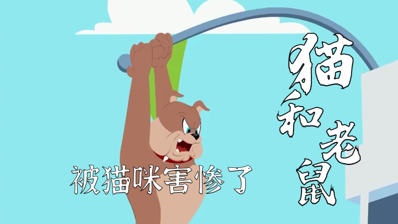 猫和老鼠:狗狗只是想救下猫咪,反而弄巧成拙了,简直亏大了