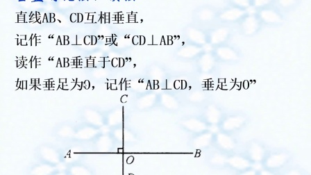 【杨实微课】垂线 刘嘉煜
