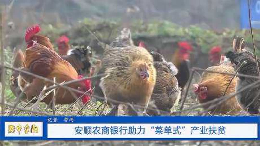 安顺农商银行助力"菜单式"产业扶贫