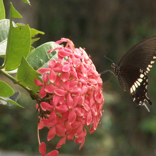 电影动漫网址站 