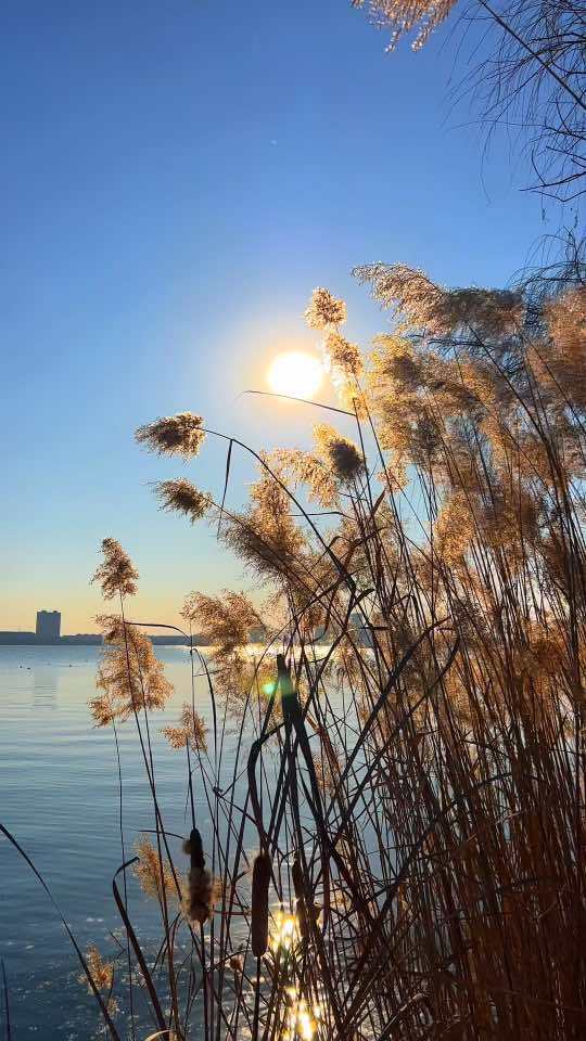 这不平凡的一年终于要过去了,说声再见吧!准备迎接新年 #好好跟2022...