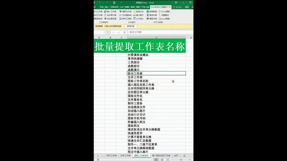 Excel骚操作(第42集)-批量提取工作表名称(方法2)