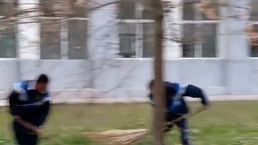 劳动技术教育课:校园大扫除