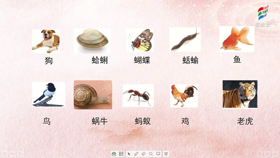 一年级科学(教科版)《给动物分类》