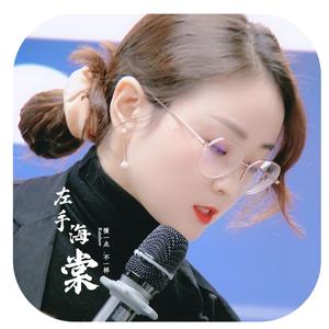 左手海棠数字管理学 