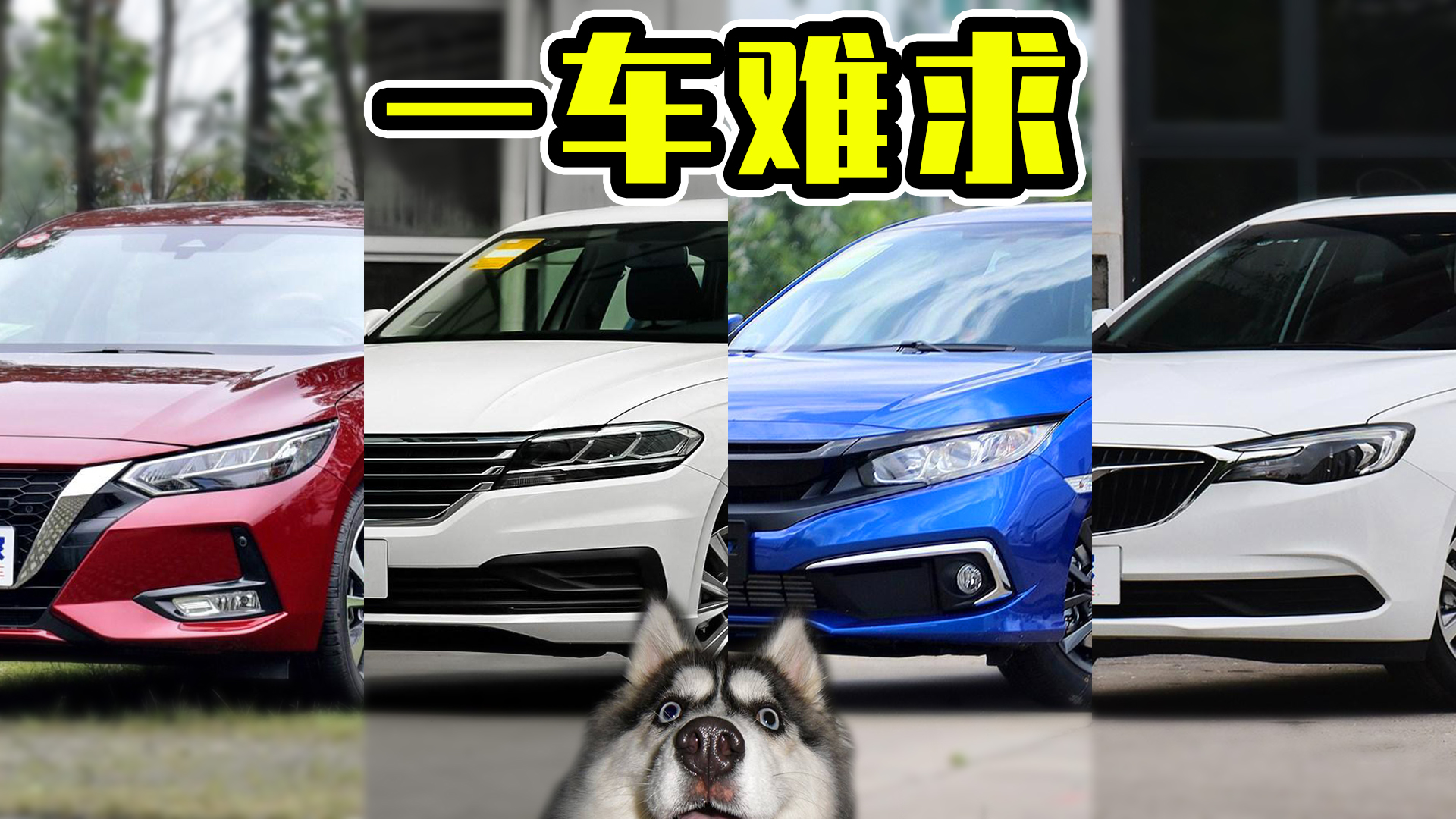 居家暖男看过来 经济实惠的合资品牌轿车