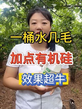 一桶水几毛,加点有机硅,效果超牛农资肥料