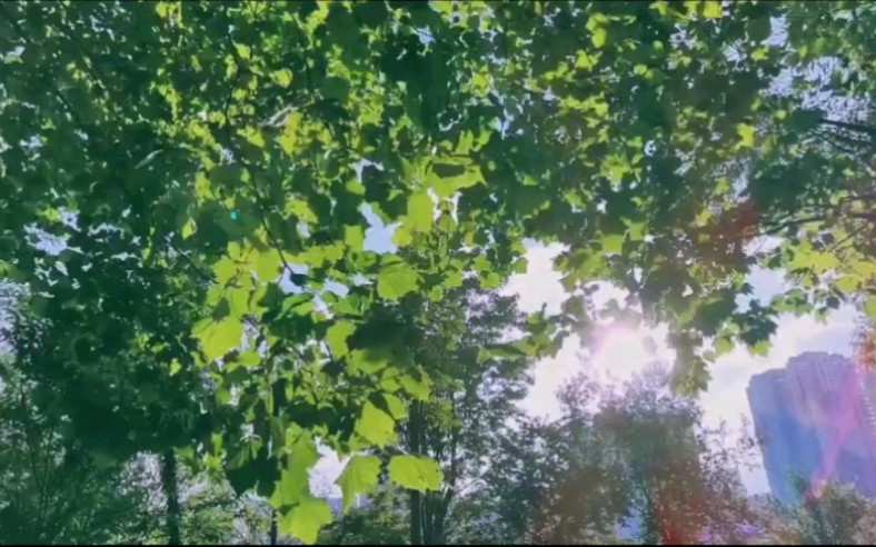 从武汉出发,带娃自驾看看祖国的大好河山。day16 第十站 盘州