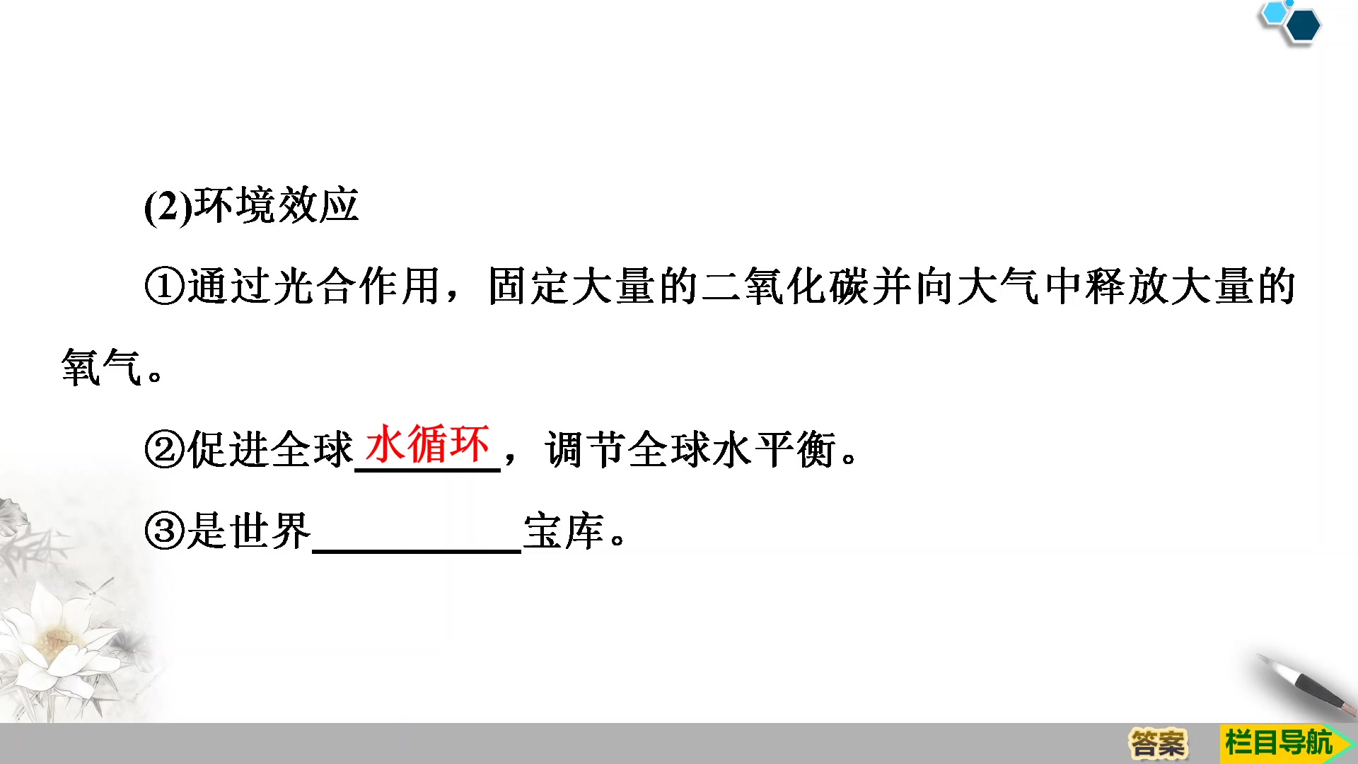 森林的开发与保护