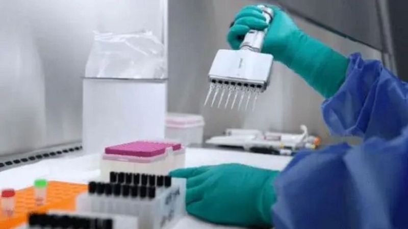 国内科研团队实验验证:奥密克戎致病力已大幅降低