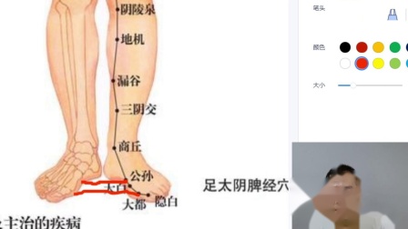 肆正草堂经络穴位之足太阴脾经