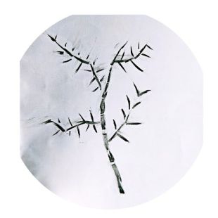 小夏至呀 