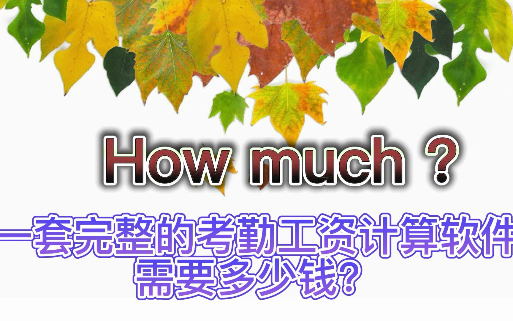 一套完整的考勤薪酬计算系统软件需要多少钱