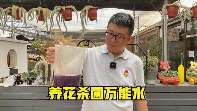高锰酸钾对于养花的用途有哪些,月季扦插就用它,比多菌灵都好用