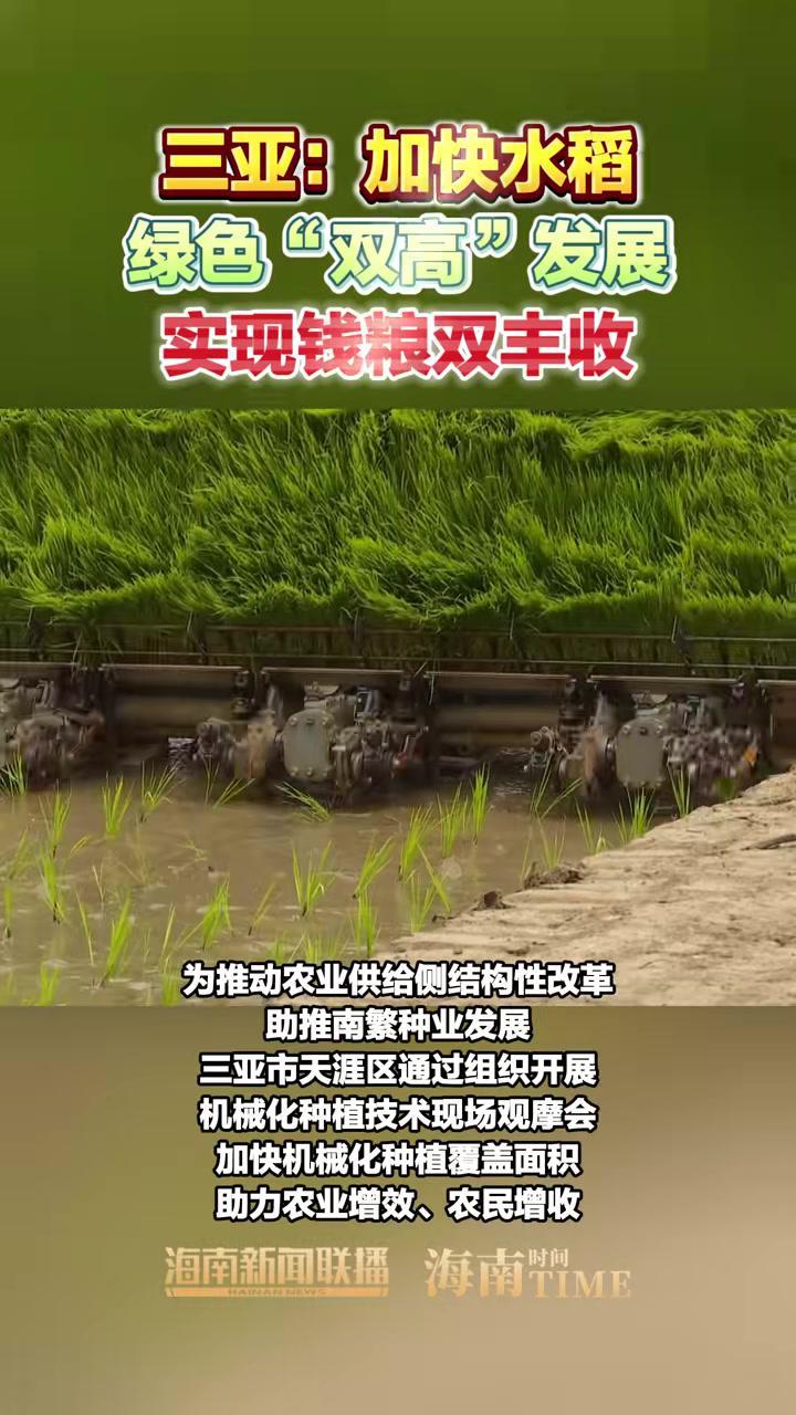 三亚:加快水稻绿色“双高”发展,实现钱粮双丰收(来源:海南新闻联播)