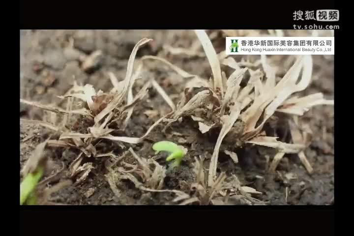 华新·520美容师节宣传记录片