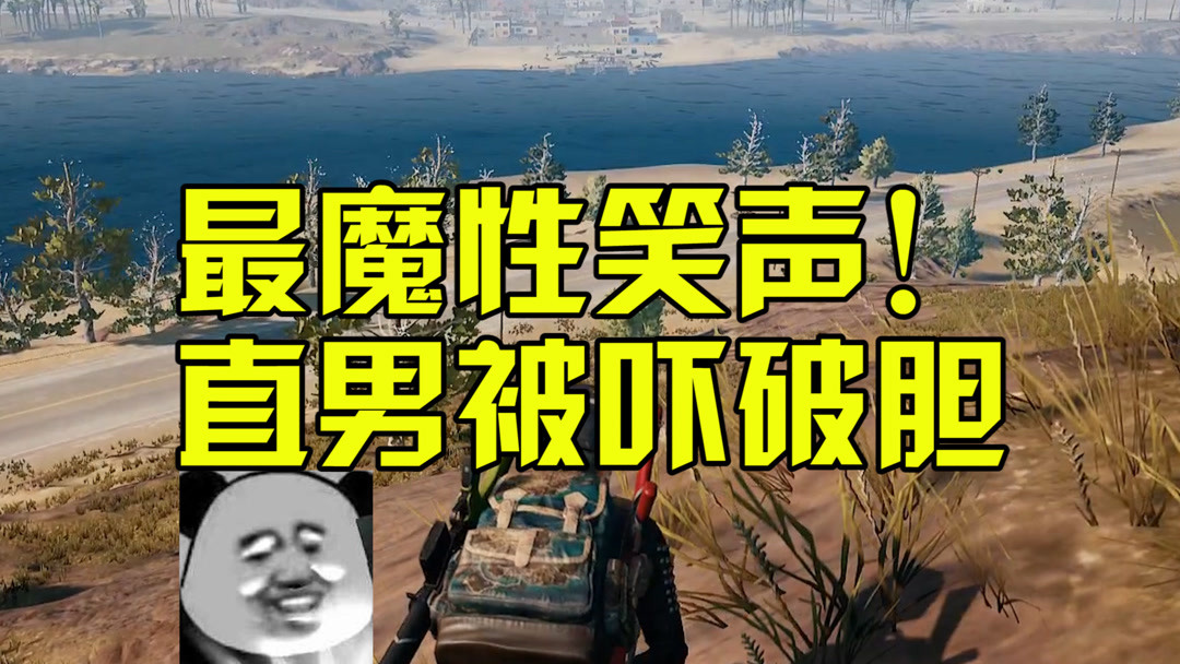 一直不知道什么叫铁憨憨,直到我遇见了他