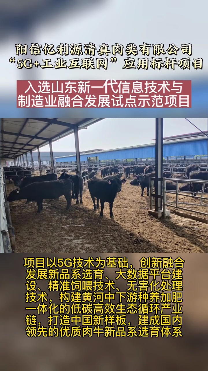 .标杆项目"入选山东新一代信息技术与制造业融合发展试点示范项目