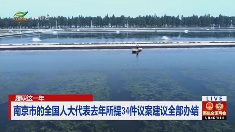 [直播南京]履职这一年:南京市的全国人大代表去年所提34件议案建议...