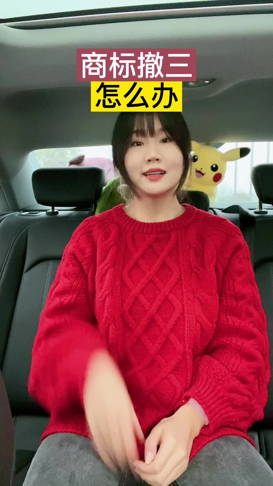 商标连续三年不使用,被人提出撤销申请怎么办