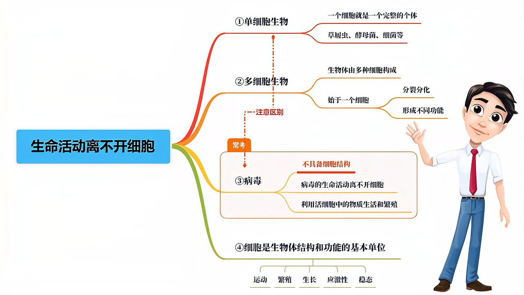 高中生物知识点—生命活动离不开细胞
