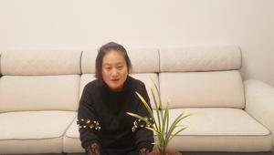 中国兰花文化都有什么