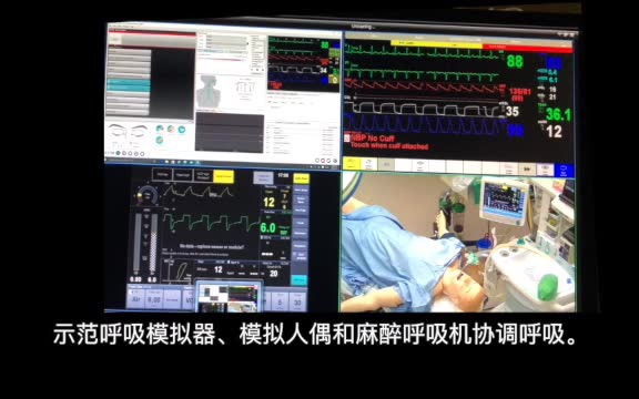 示范呼吸模拟器、模拟人偶和麻醉呼吸机协调呼吸
