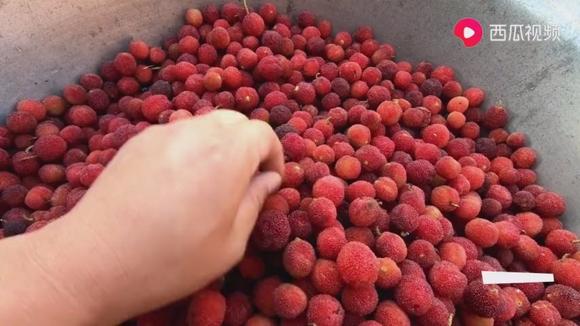 云南:杨梅太多吃不下,看小伙做成杨梅果酱