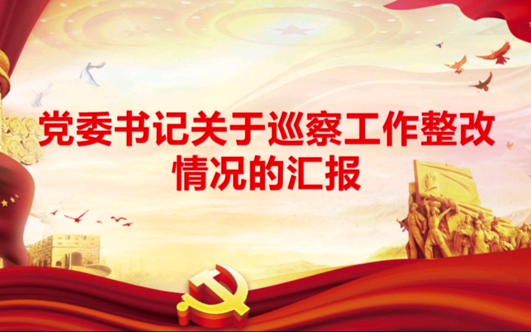 党委书记关于巡察整改工作情况的汇报