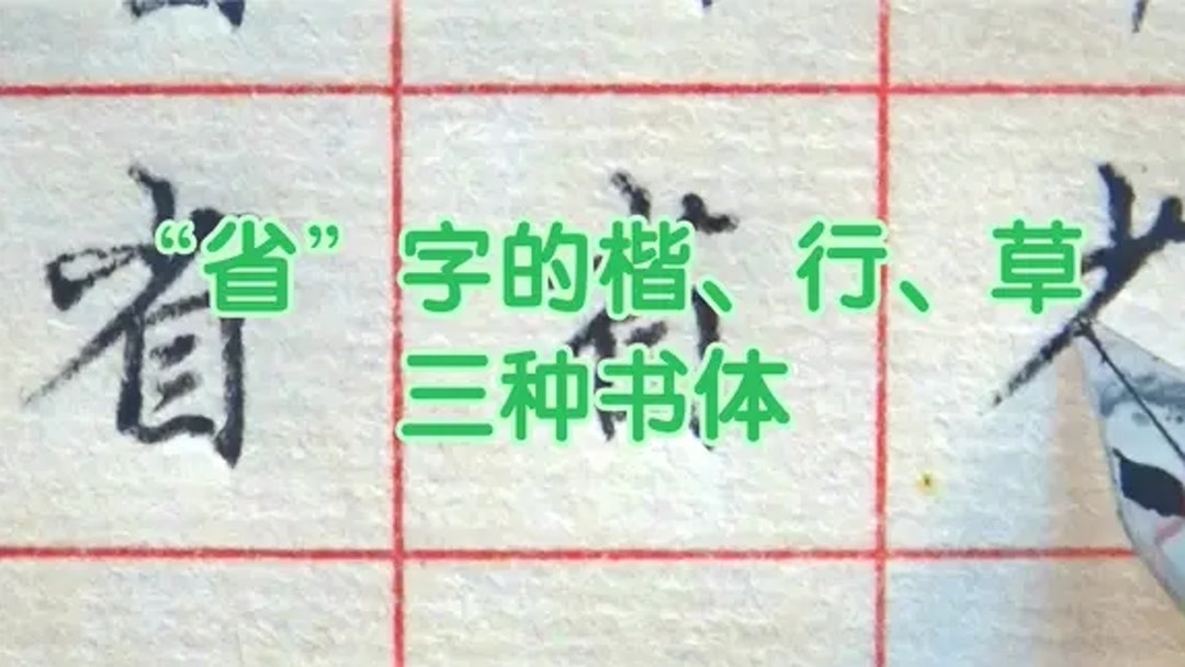 常用钢笔字,“省”字的楷书、行书、草书三种书体的写法