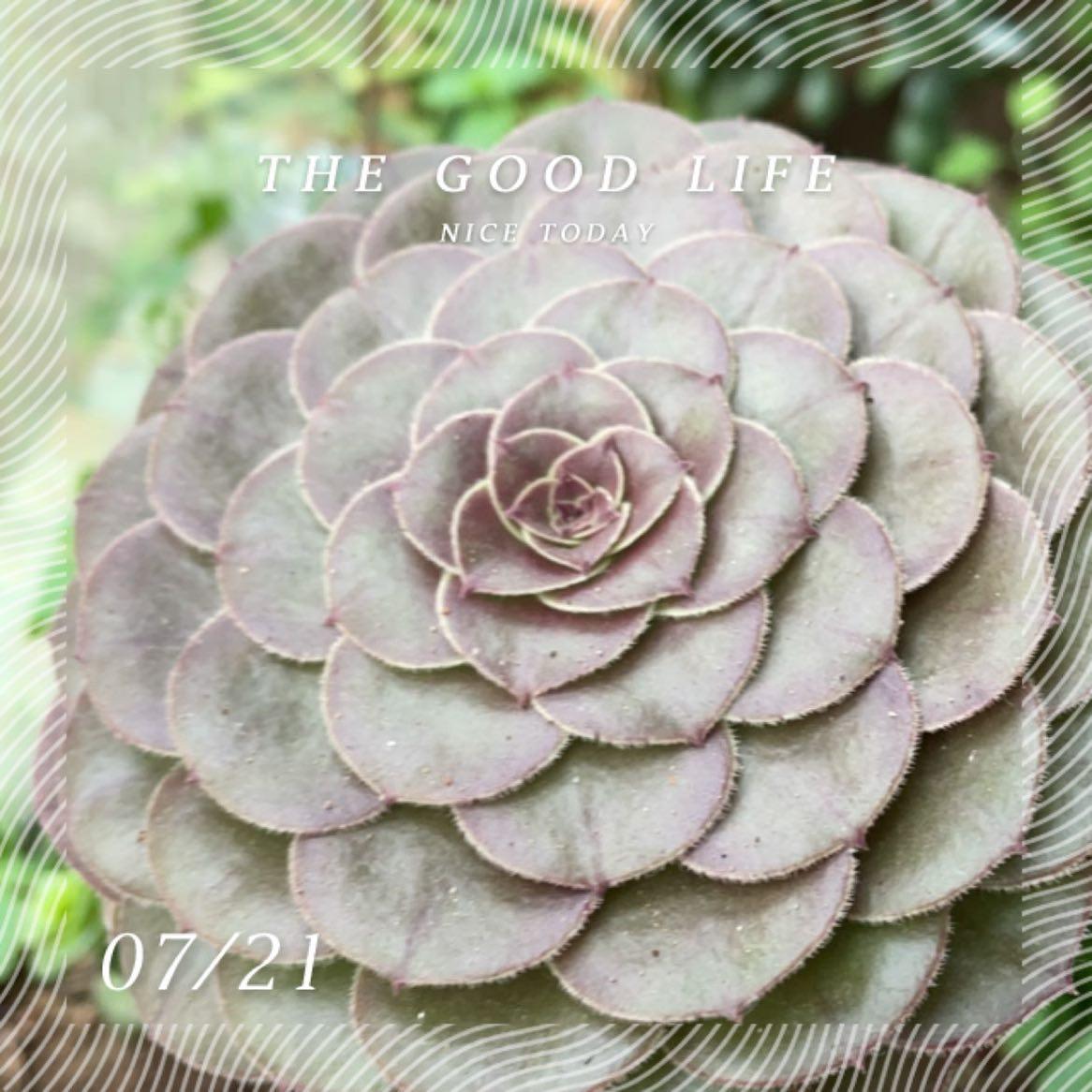 嗯哼哈哈哈我喜欢 