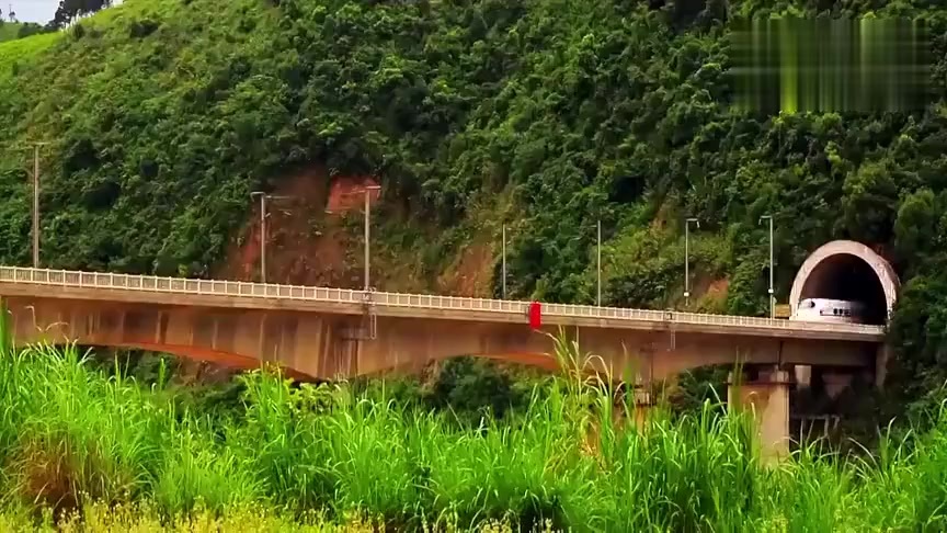 藤县要火了!上广西新闻,近一个小时的介绍