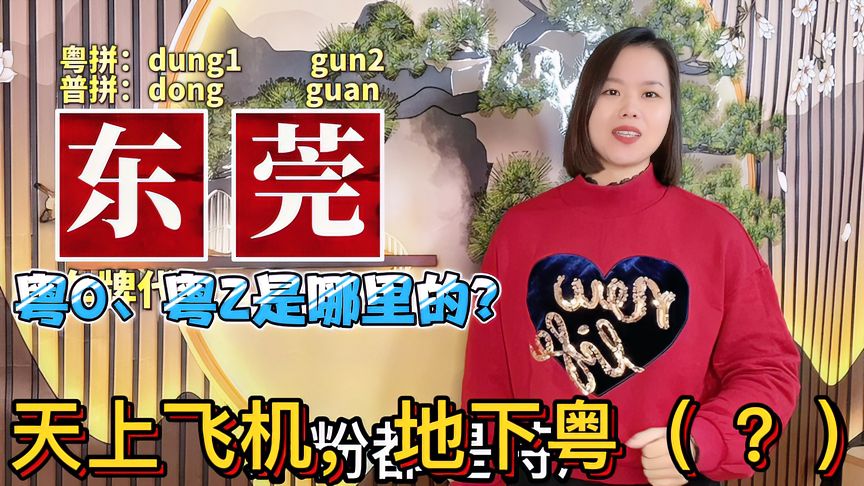 东莞、清远、潮州、阳江各地特色, 广东11个地级市车牌代码