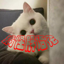 搞怪解语花 