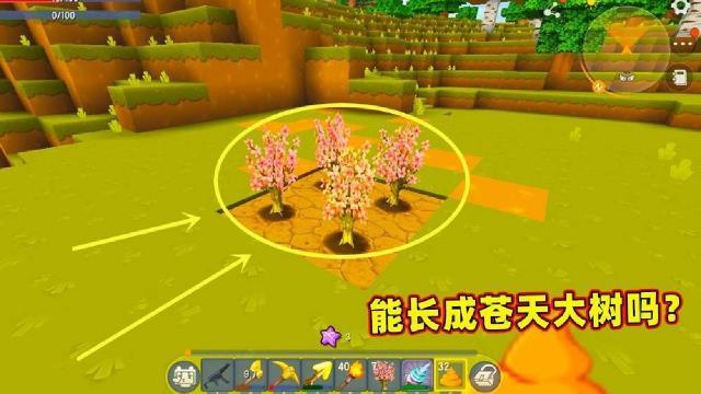 迷你世界高级生存27:4株桃树苗种在一起,是否能长成苍天大树呢