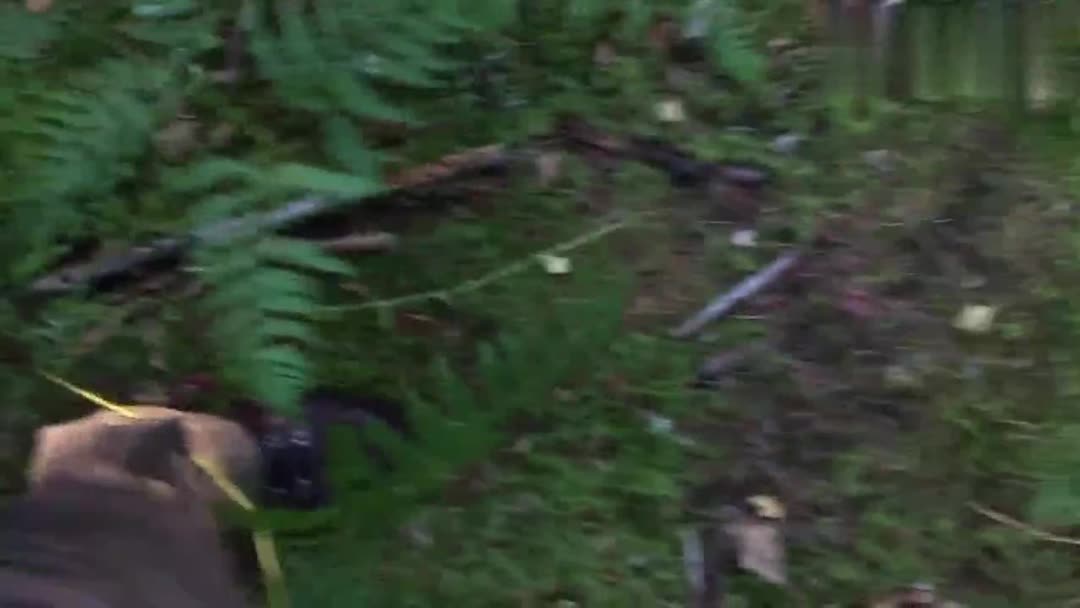 林地营地管理人员,森林徒步旅行