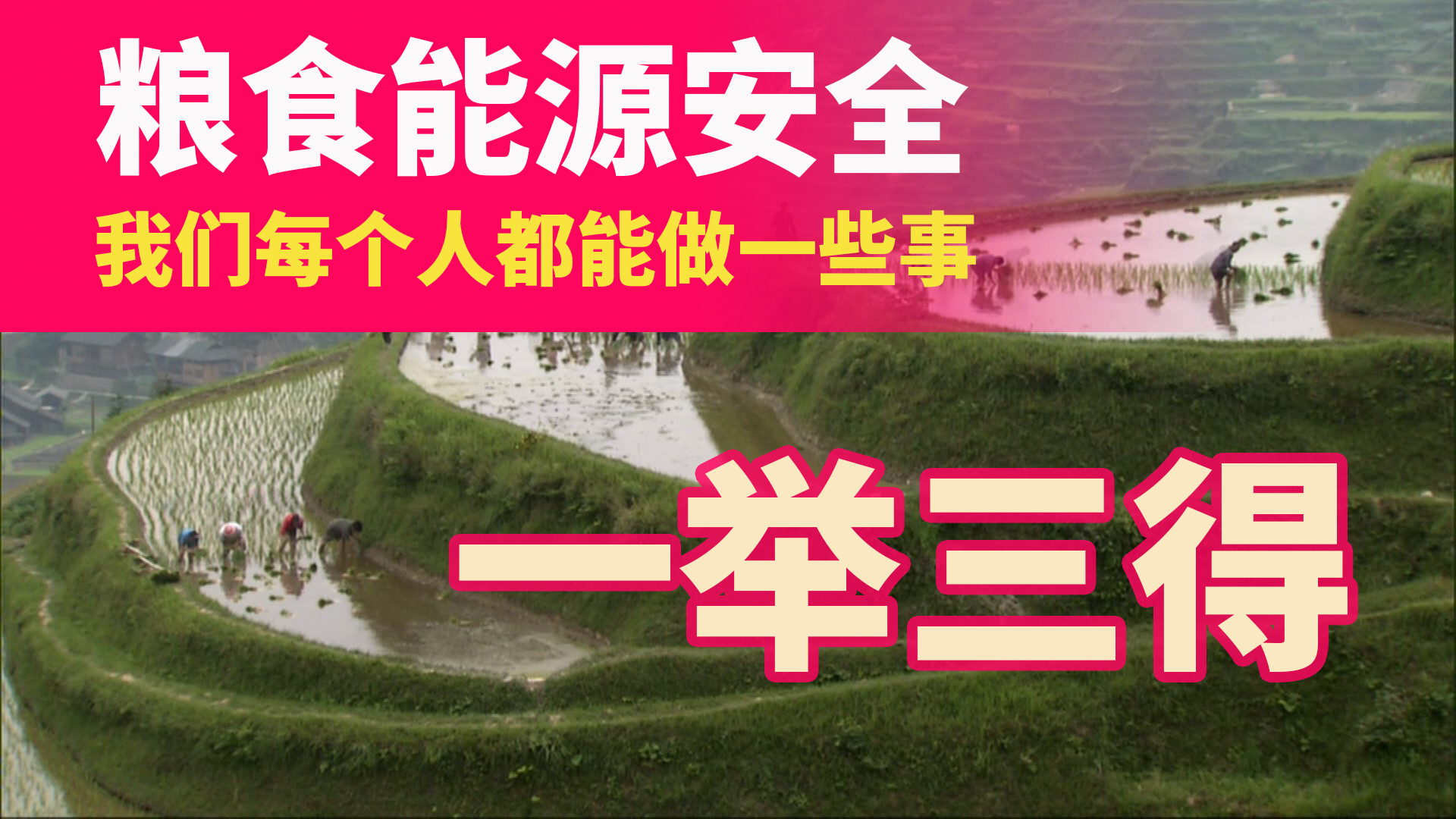 粮食安全,我们这样做一举三得,疫情俄乌世界新危机,节约少浪费