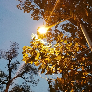 钱菡清 