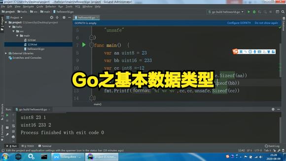 Go语言基础之数据类型,学浪计划